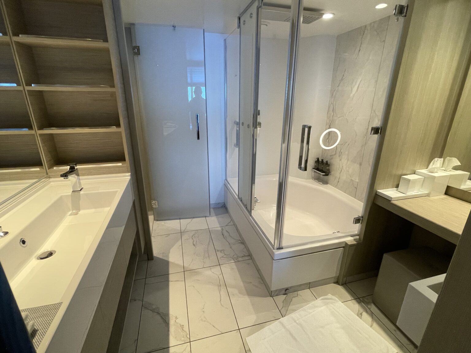 Celebrity Apex Tour, Review, and Naming Ceremony