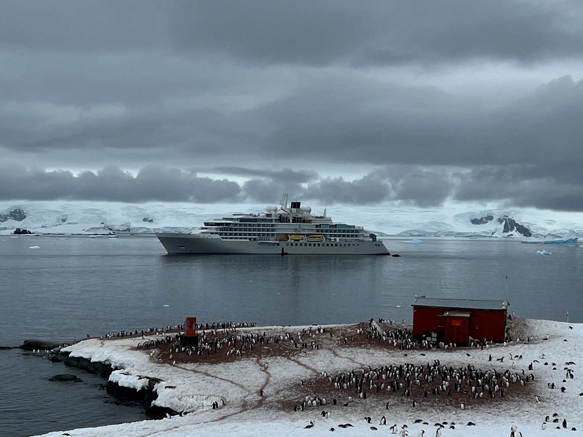 Silversea Silver Endeavour Experiences Antarctica